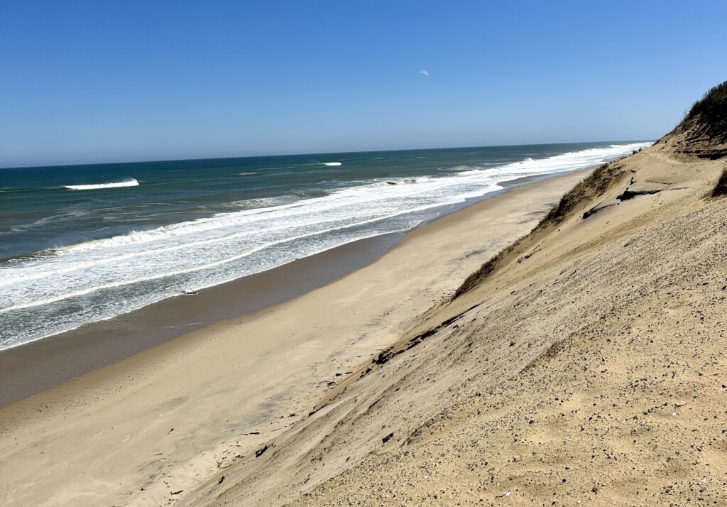 Wellfleet | Love Live Local